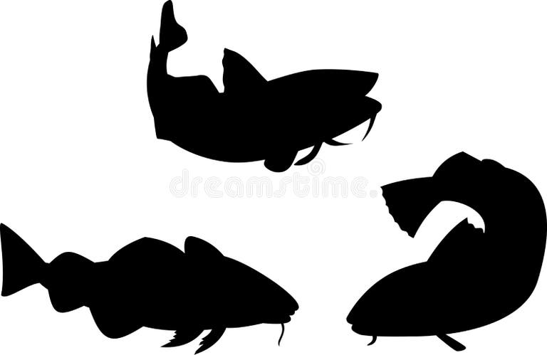 Atlantic cod fish stock vector. Illustration of jumping - 7501681