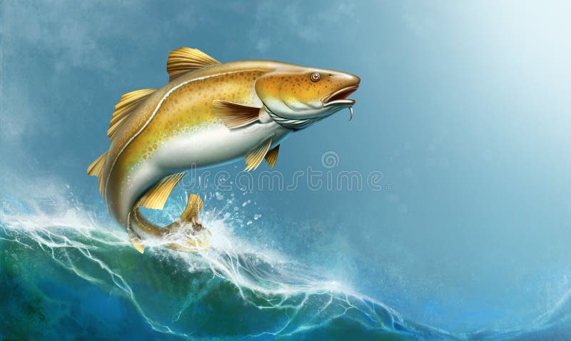 Atlantic Cod Fish Attack Fish Bait Jigs and Stakes Spoon Bait Jumping ...