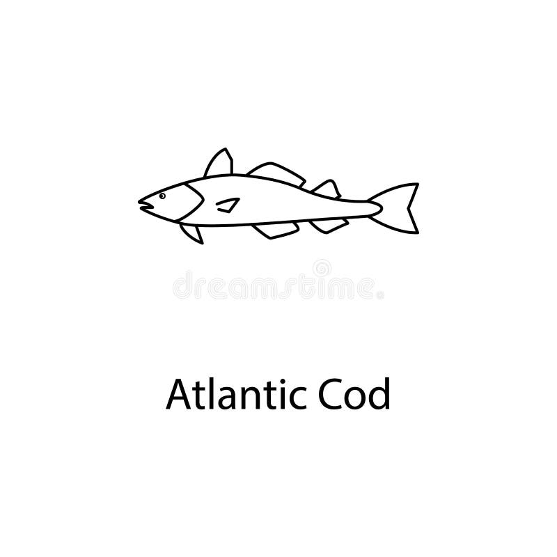 Atlantic Cod Stock Illustrations – 422 Atlantic Cod Stock Illustrations ...