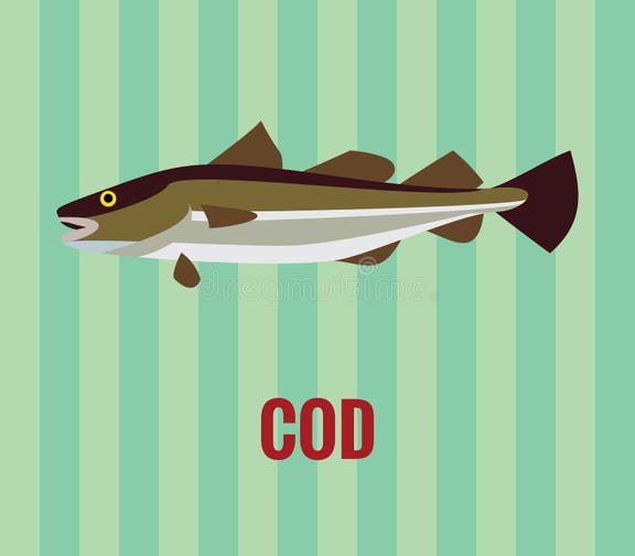 Atlantic cod stock vector. Illustration of norvegian - 43305284