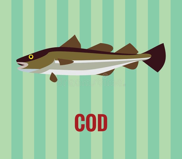 Atlantic cod stock vector. Illustration of norvegian - 43305284