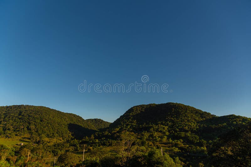 Atlantic Forest Landscape in Brazil Stock Photo - Image of light ...