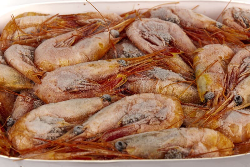 Atlantic Frozen Prawns in Blocks on the Table Stock Photo - Image of ...