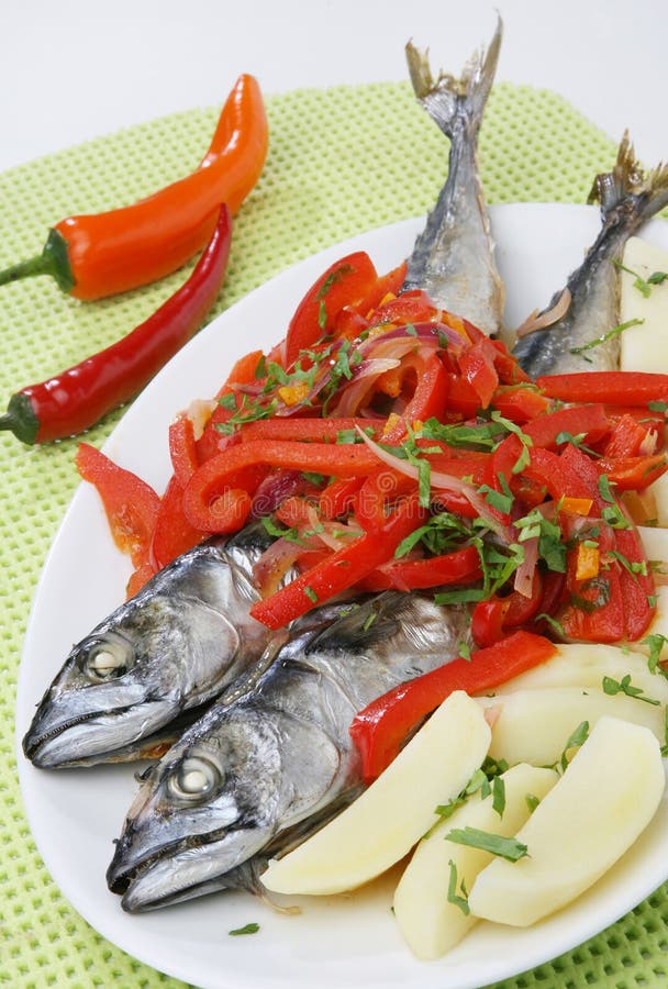 Atlantic Mackerel Fish Picture. Image: 14790465