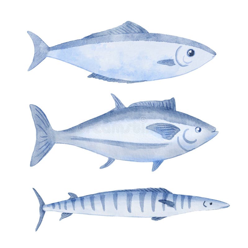 Atlantic Ocean Fish Set. Watercolor Illustration Isolated on White ...