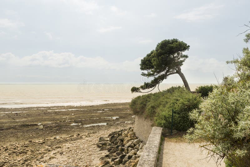 Atlantic Ocean in the Spring Low Tide Stock Photo - Image of holiday ...