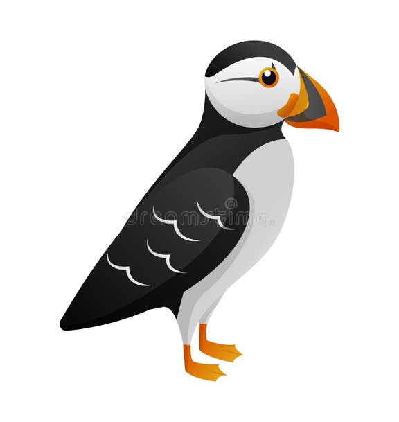 Atlantic Puffin Cartoon Character . Vector Stock Vector - Illustration ...