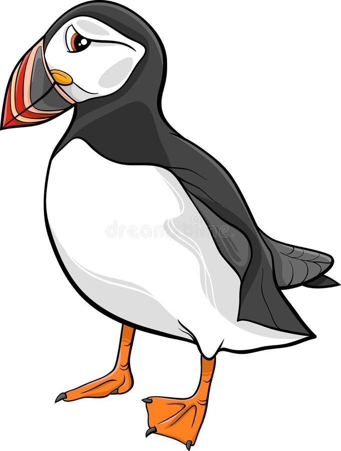 Atlantic Puffin Cartoon Illustration Stock Vector - Illustration of ...