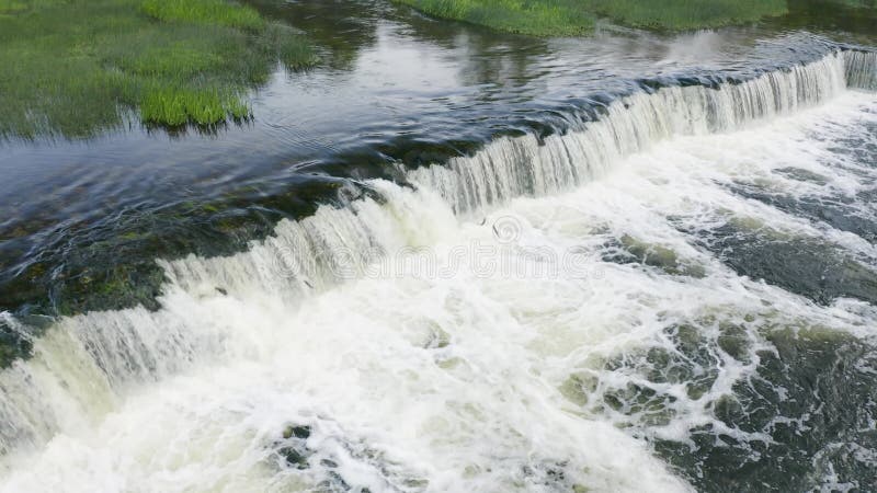Atlantic Salmon Going Up a Whitewater River, Looking for the Stock ...