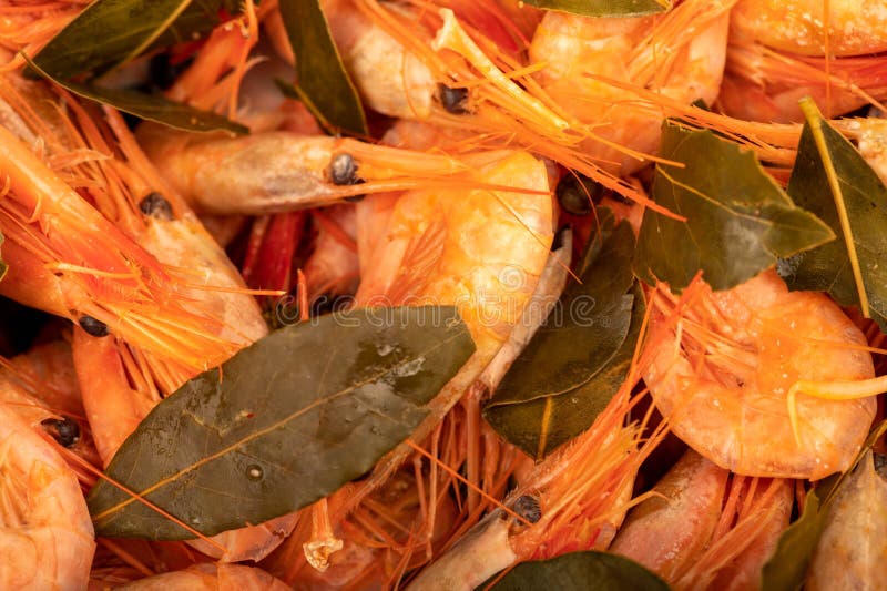 Atlantic Shrimp Boat stock photo. Image of seafood, america - 1998688