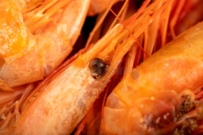 Atlantic Shrimp Cooked with Allspice and Bay Leaf Close-up, Surface ...