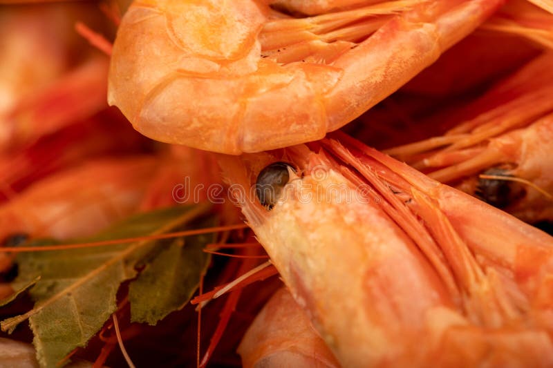 Atlantic Shrimp Cooked with Allspice and Bay Leaf Close-up, Surface ...