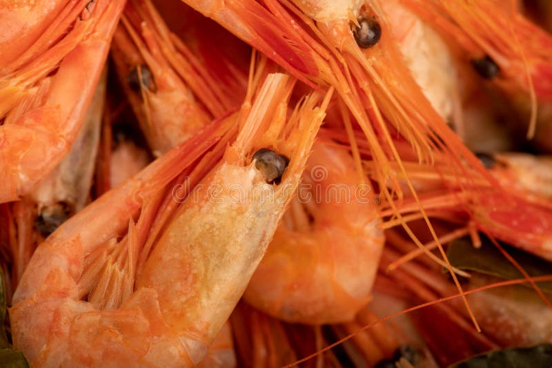 Atlantic Shrimp Cooked with Allspice and Bay Leaf Close-up, Surface ...