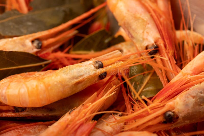 Atlantic Shrimp Cooked with Allspice and Bay Leaf Close-up, Surface ...