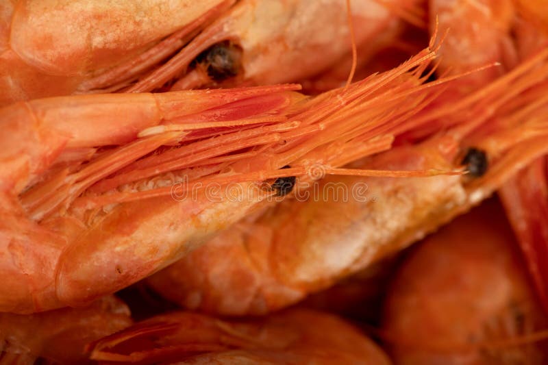 Atlantic Shrimp Cooked with Allspice and Bay Leaf Close-up, Surface ...