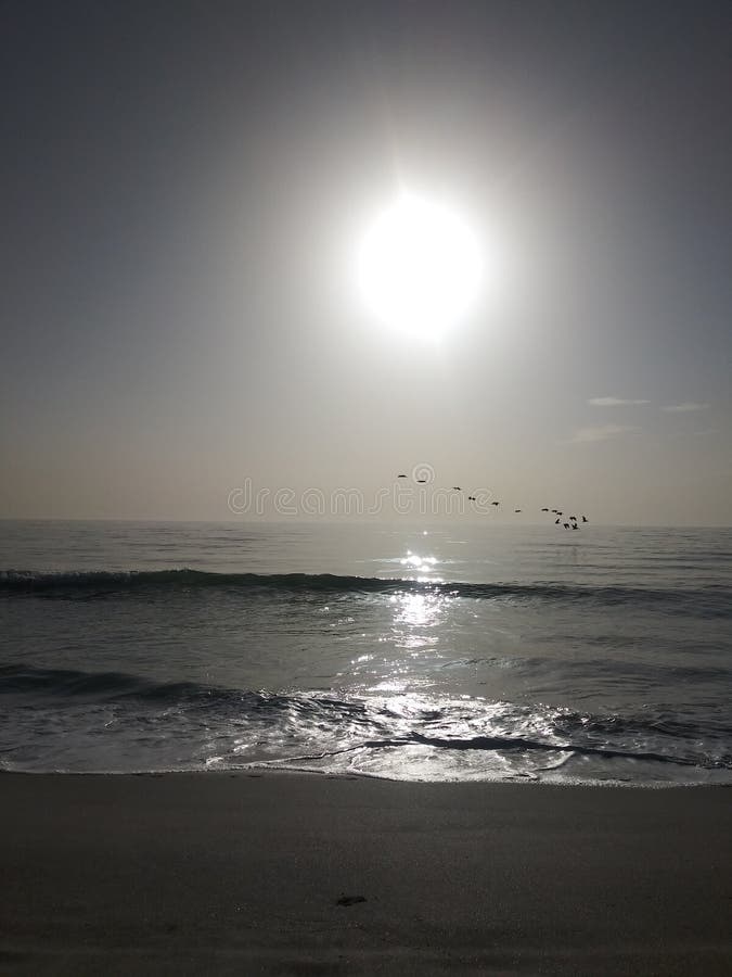 Atlantic Southern Summer Sun Rise Stock Photo - Image of pellican, rise ...