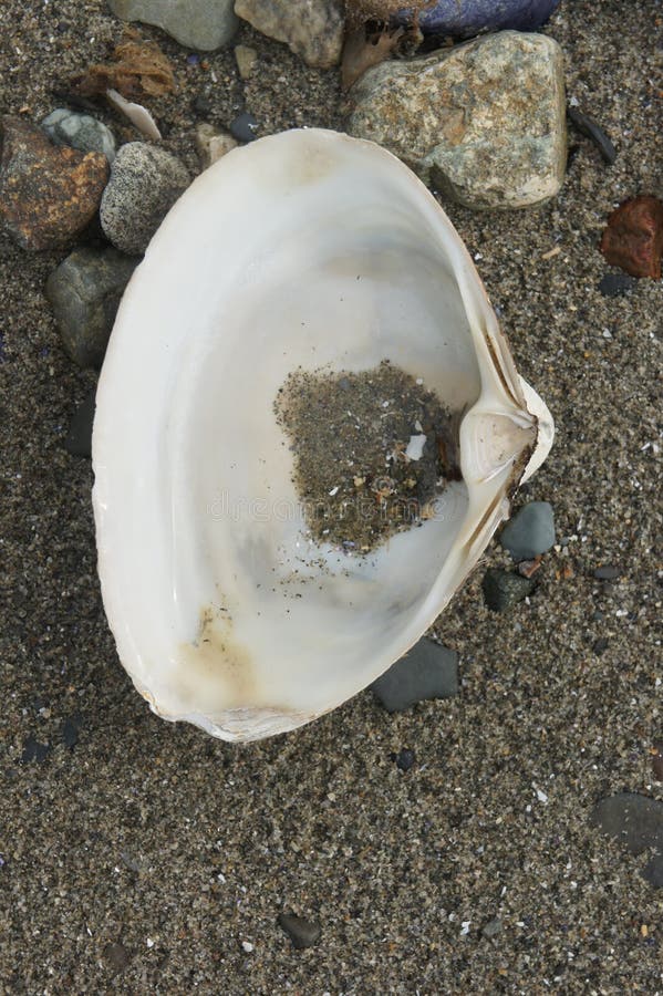 Solidissima Stock Photos - Free & Royalty-Free Stock Photos from Dreamstime