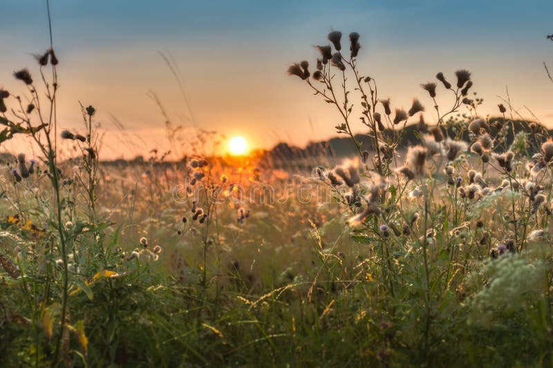 Atmosferic Sunset Over the Field Stock Photo - Image of agriculture ...
