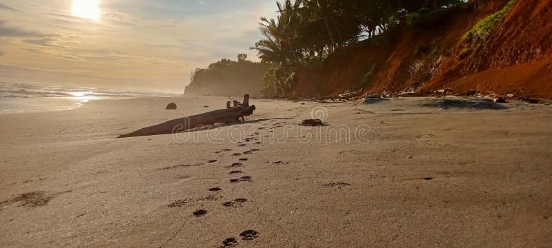 Atmosphere in the Afternoon Fun Stock Photo - Image of afternoon ...