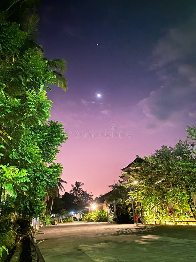 The Atmosphere of Bali at Night, the Weather is Bright, There are Stars ...