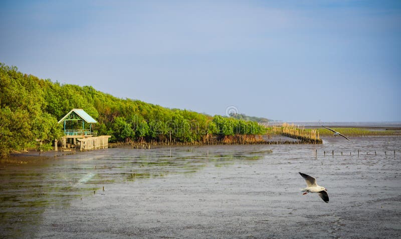 The Atmosphere of the Beach Stock Photo - Image of shore, relax: 357461278