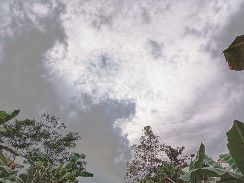 The Atmosphere of the Clear Sky Stock Image - Image of leaf, nature ...