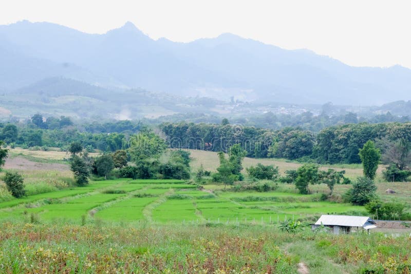 The Atmosphere of the Green Field Stock Photo - Image of town, sunset ...