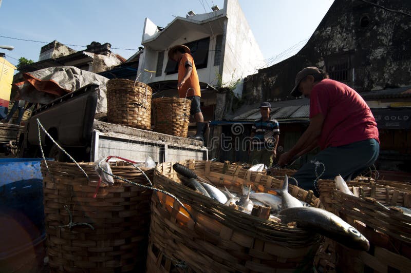 The Atmosphere of Loading and Unloading Fish in the Surabaya Indonesian ...