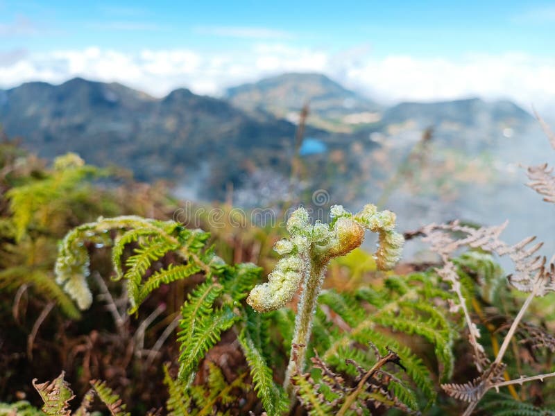 The Atmosphere of the Mountains is Very Cool Stock Image - Image of ...