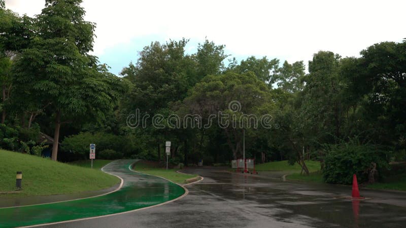 Atmosphere after Rain on City Park, Rainwater Creates a Serene, Stock ...