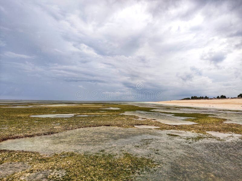 Atmosphere Receding Beach Cloudy Sky Stock Photos - Free & Royalty-Free ...