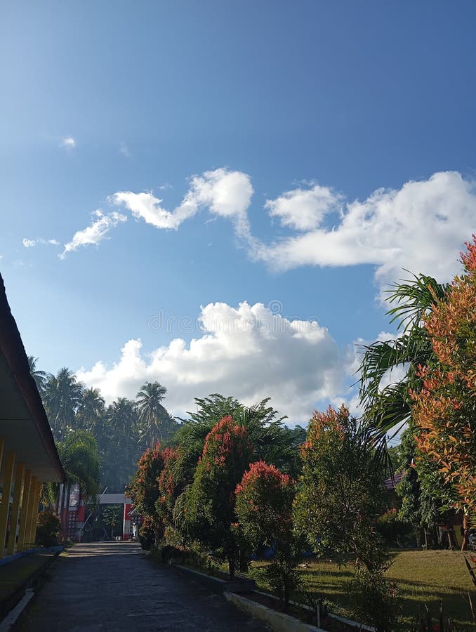 The Atmosphere of the School Gate on a Cool, Long-distance Morning ...