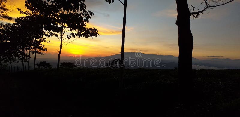 Atmosphere in a Summer Morning with a View of a Mountain and a Tree ...