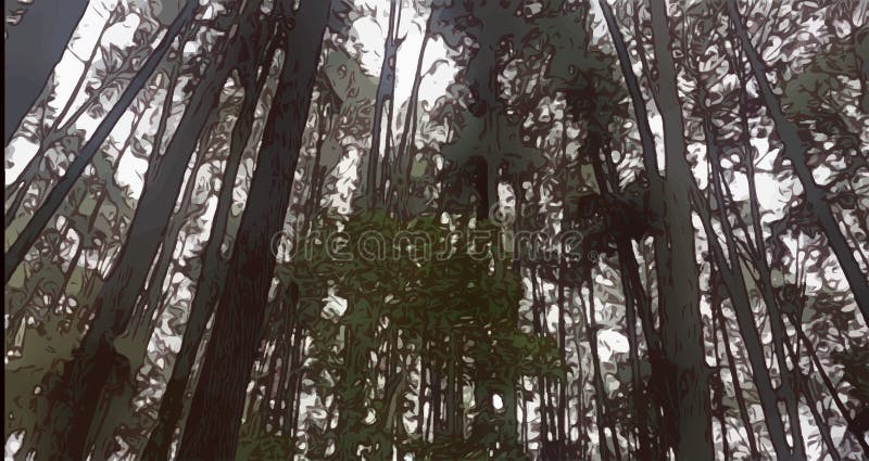 Shady Trees Create a Cool and Comfortable Atmosphere Stock Photo ...