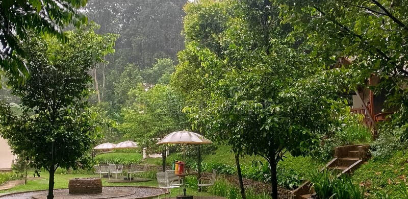 The Atmosphere is Very Cool and Calm when it Rains Stock Photo - Image ...