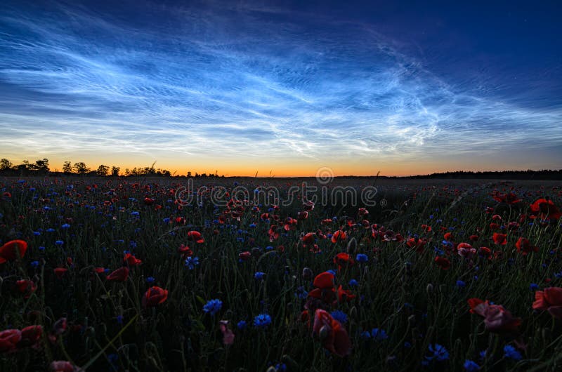 Atmospheric Phenomenon of Noctilucent Clouds Night Shining Clouds NLC ...