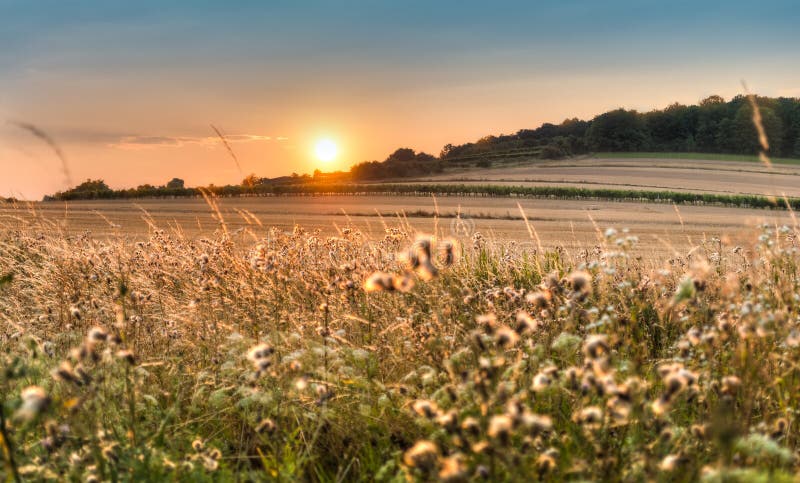 Atmospheric Sunset Over the Field Stock Photo - Image of orange, season ...