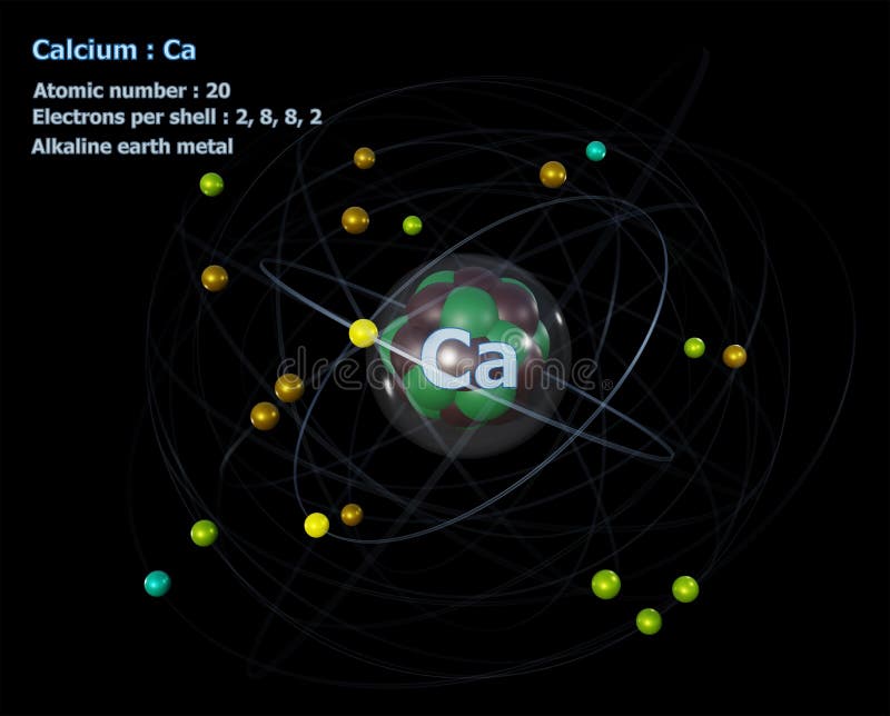 Shell Model Of Calcium