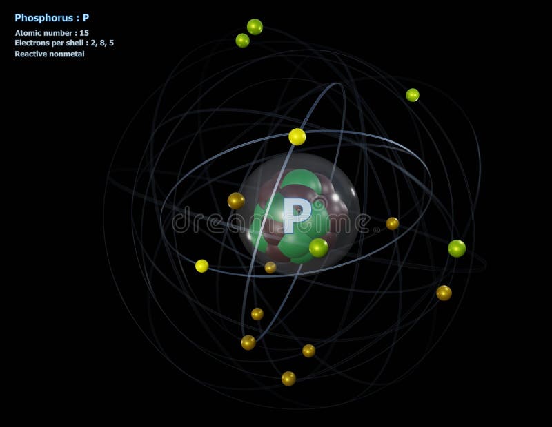 Phosphorus Atom Model Project