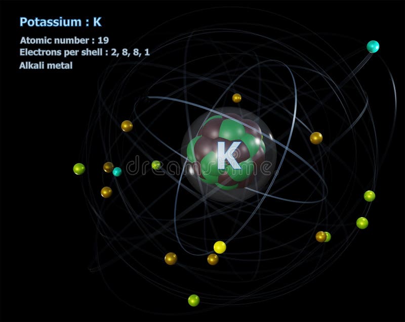 Bohr Model For Potassium