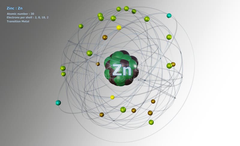 Atom of Zinc with Core and 30 Electrons on White Stock Illustration ...