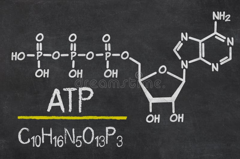 Adenosine Triphosphate ATP on White Background. ATP Provides Energy To ...