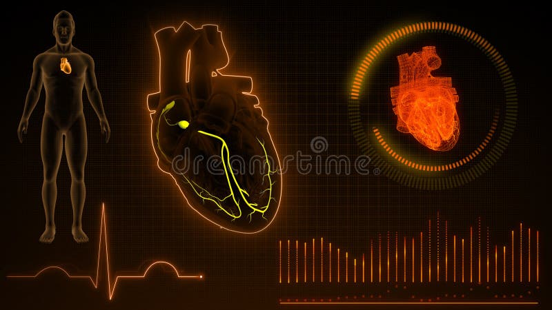 AV and SA Node Signals or Atrioventricular and Sinoartial Node Signal ...