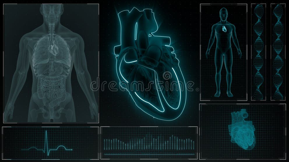 AV and SA Node Signals or Atrioventricular and Sinoartial Node Signal ...