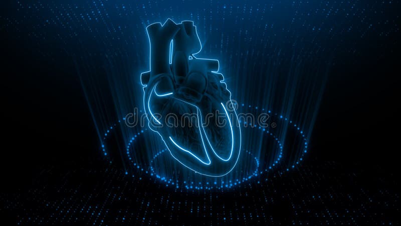 AV and SA Node Signals or Atrioventricular and Sinoartial Node Signal ...