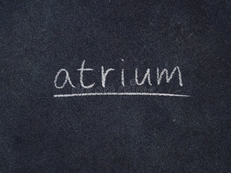 Sean824 - Photographer profile