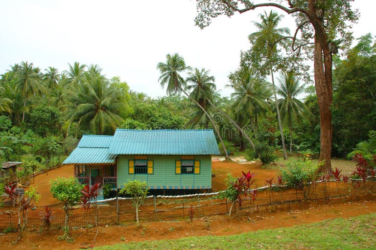 Attap House stock photo. Image of island, roof, attap, green - 691052