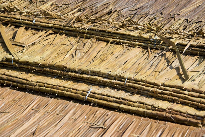 Attap Roof stock photo. Image of home, rooftop, leaves - 9584132