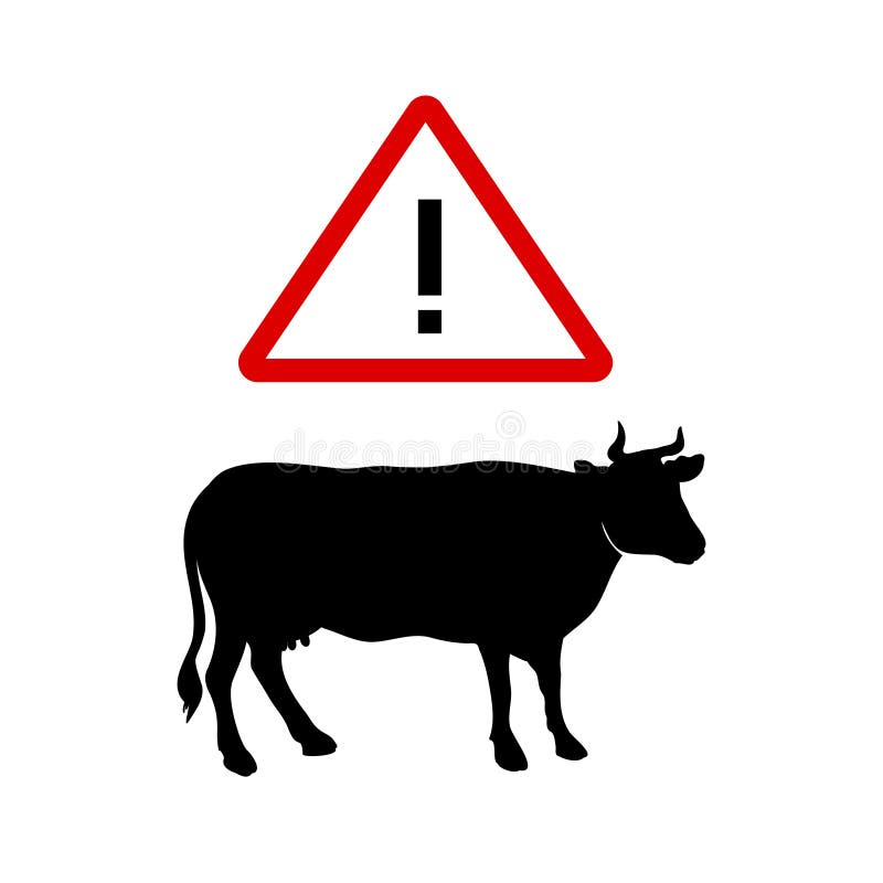 Attention Ahead of the Cow. Danger Sign Stock Illustration ...