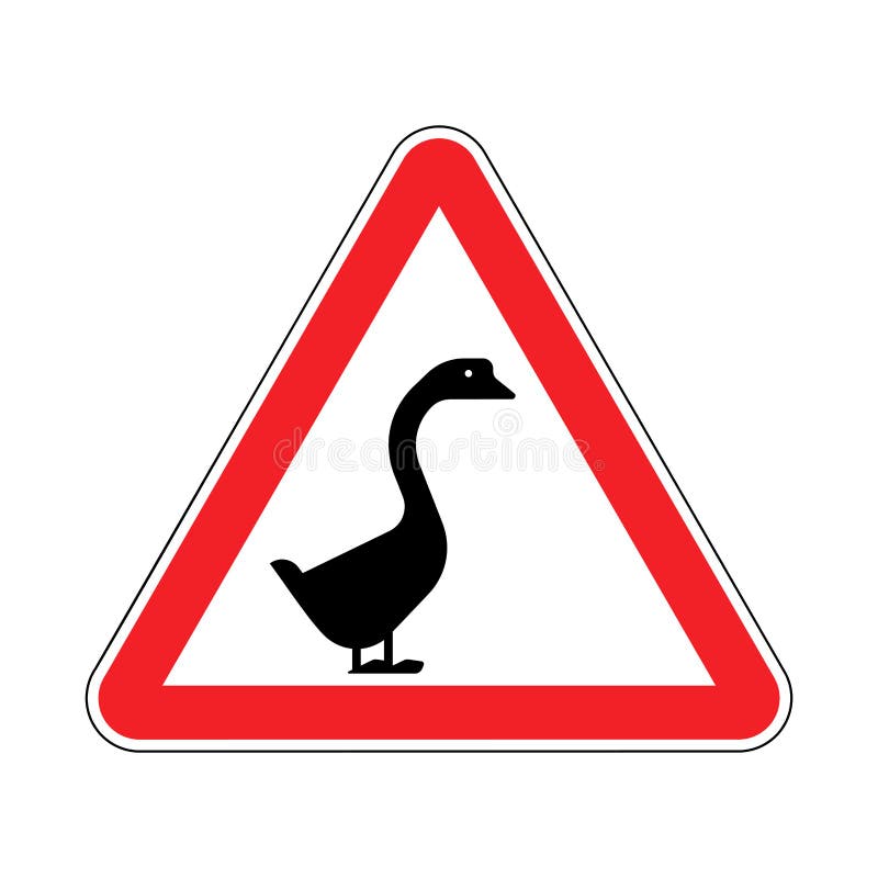 Attention Goose. Caution Farm Birds Stock Illustration - Illustration ...